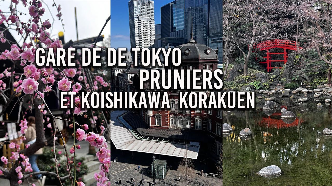 GARE DE TOKYO, PRUNIER ET KOISHIKAWA KORAKUEN - YouTube