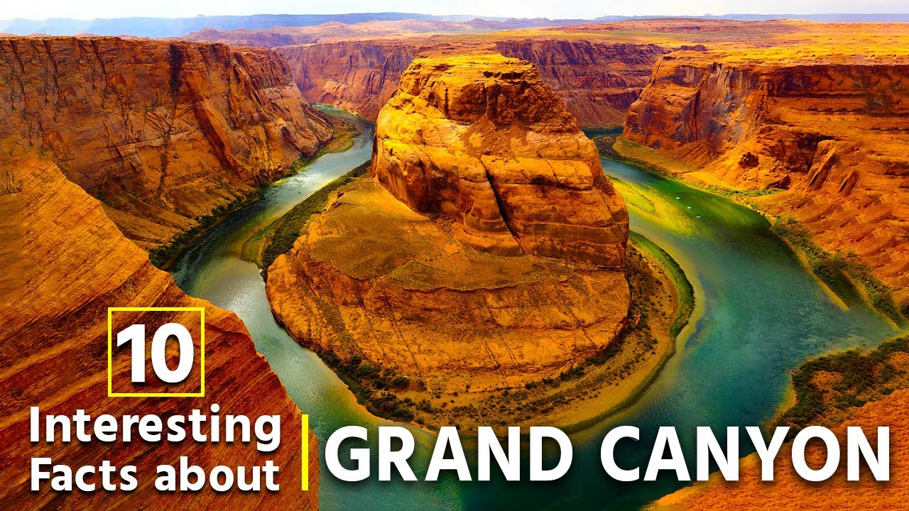 10 Interesting Facts about Grand Canyon | Insight Station #shorts - YouTube