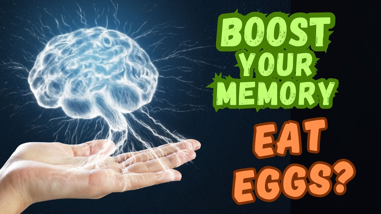 Why Eating Eggs Helps Your Brain - YouTube