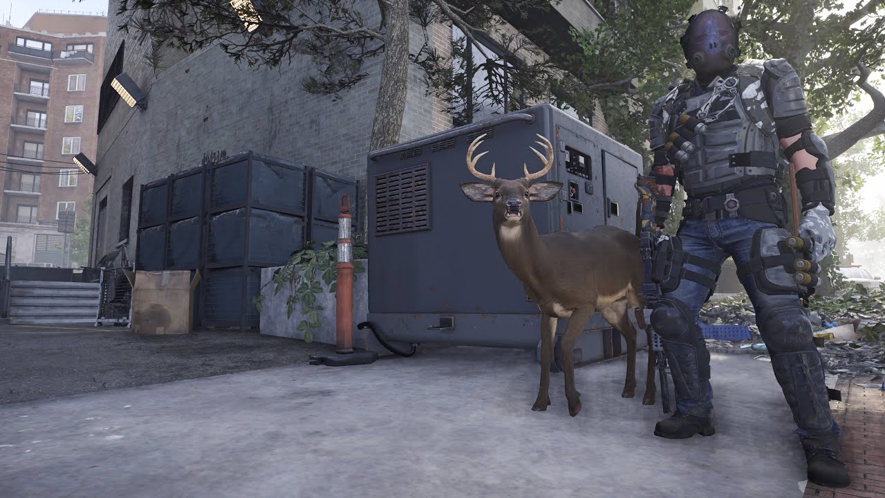 THE DIVISION 2 regulus - YouTube