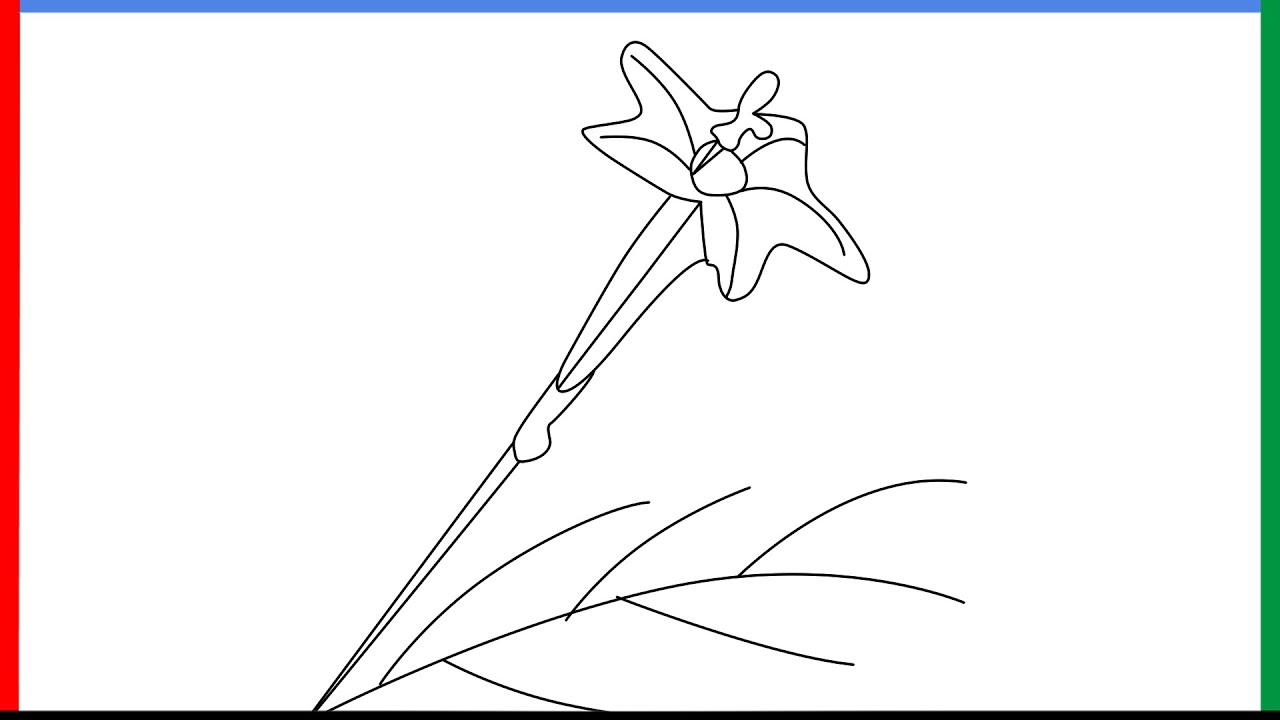Cypress Flower Drawing