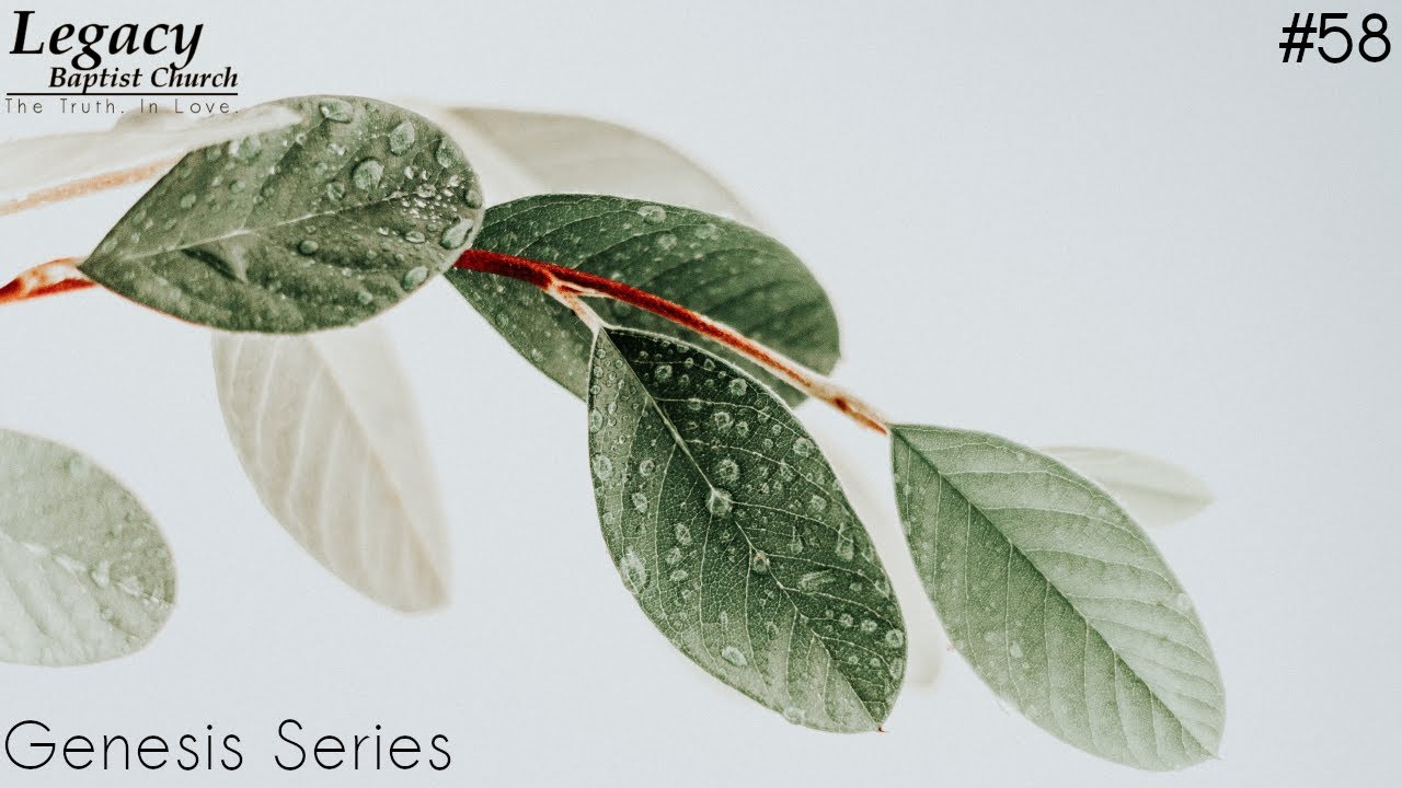 Genesis 12:10-20 - The First Faltering of Faith - YouTube