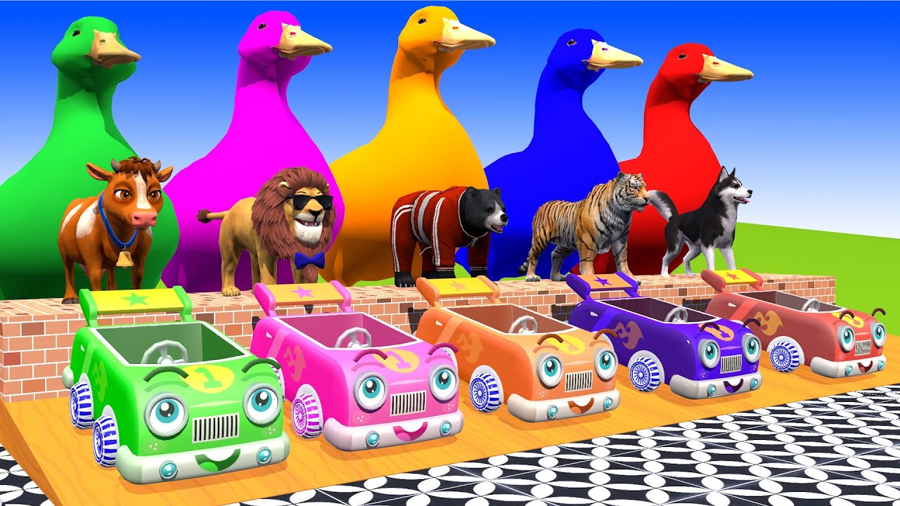 Long Slide Game With Dog Gorilla Buffalo Hippopotamus Zebra 3d Animal ...