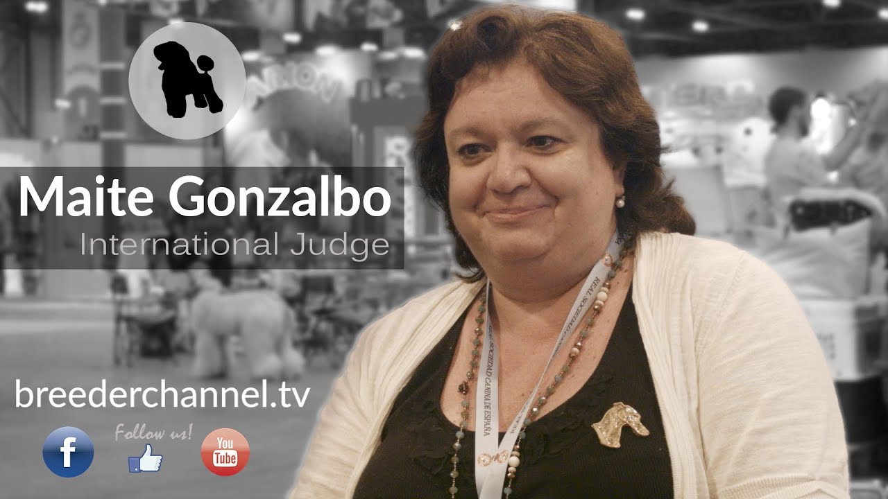 Maite Gonzalbo Interview - YouTube