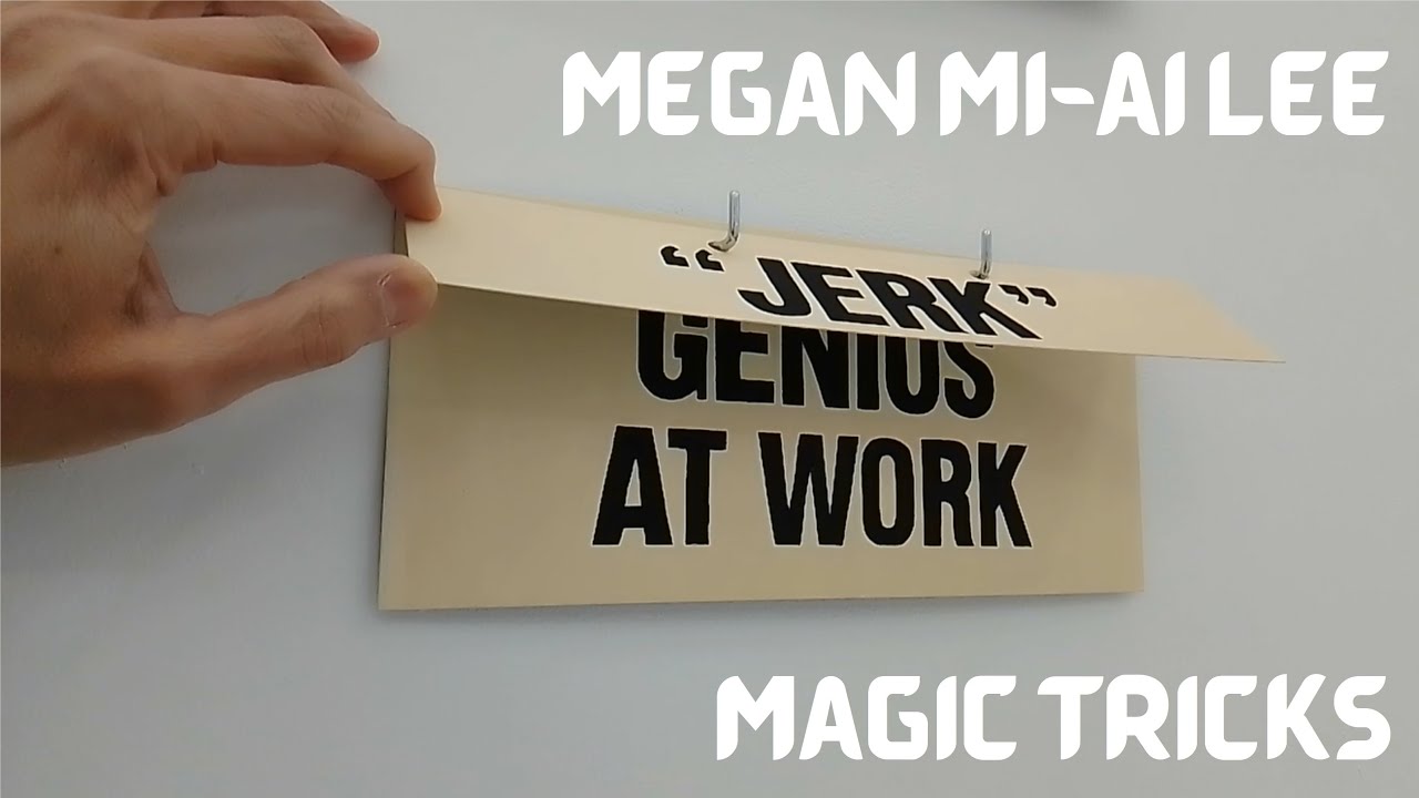 magic tricks and optical illusions conjured by Megan Mi-Ai Lee's show ...