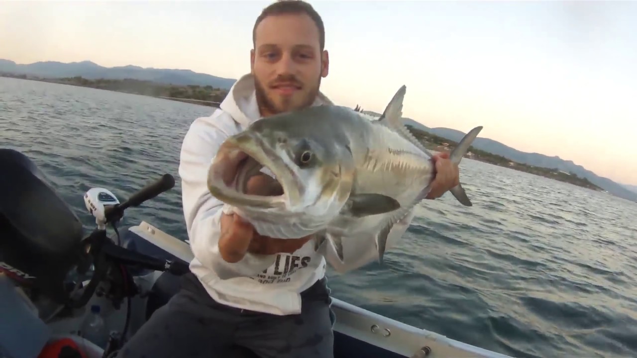 fishing huge leccia amia in light spinning! Διαυλοι Σαλαμινας Περαματος ...