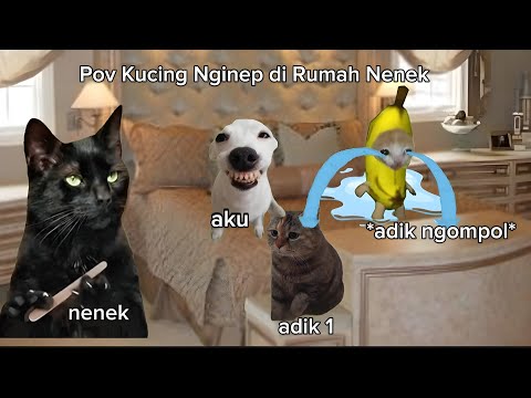 Pov kucing Nginep di Rumah Nenek | meme kucing lucu #pov #meme #kucing #cat