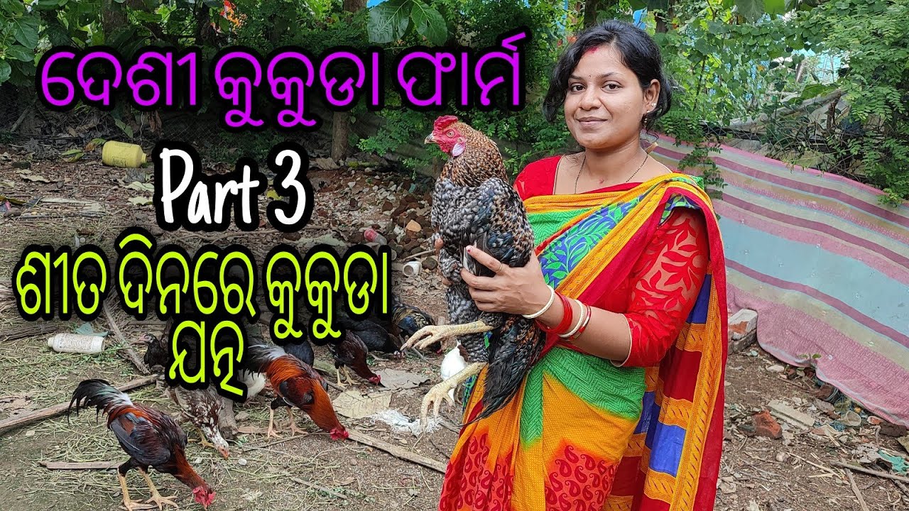 Desi Kukuda Farm Visit - 3|| Winter Care For Chicks||#desifarm # ...