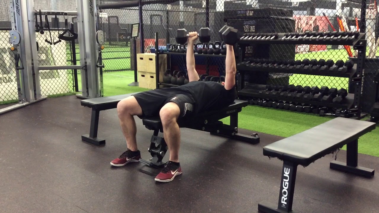 ECC DB Bench Press - YouTube