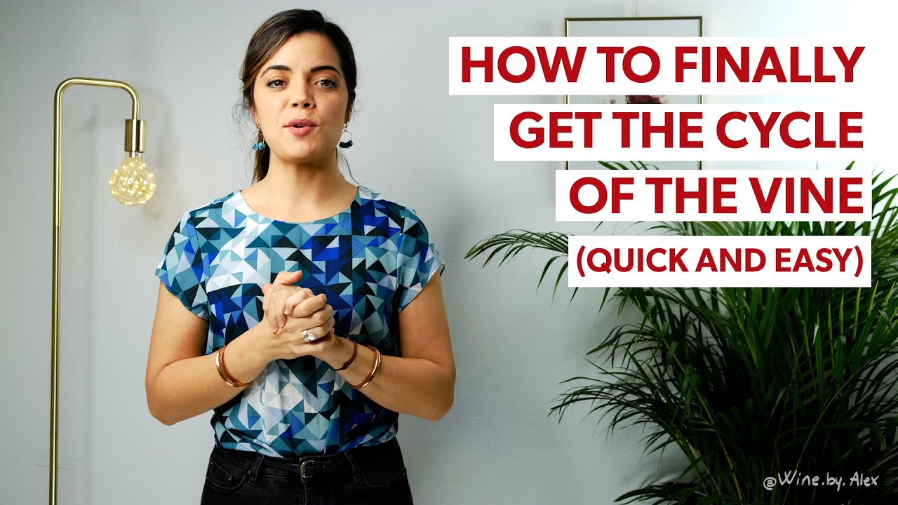 HOW TO FINALLY GET THE VINE GROWTH CYCLE (QUICK & EASY) 🌱 - YouTube