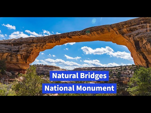 Natural Bridges National Monument