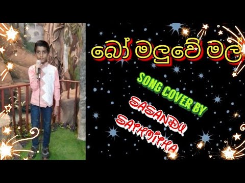 Bo maluwe mal / බෝ මලුවේ මල් song cover by Sasandu Sathmitha / Sasandu ...