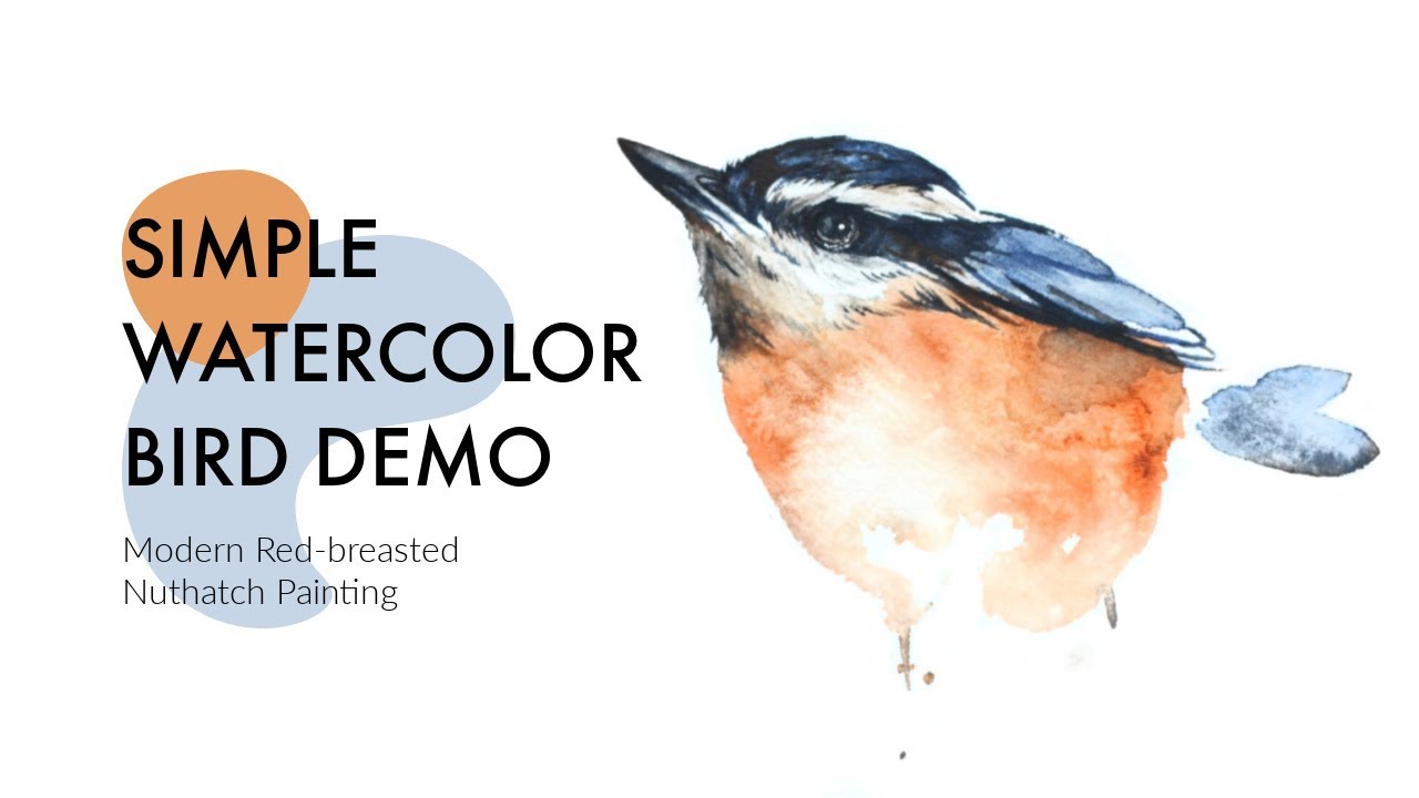 Red Breasted Nuthatch Drawing