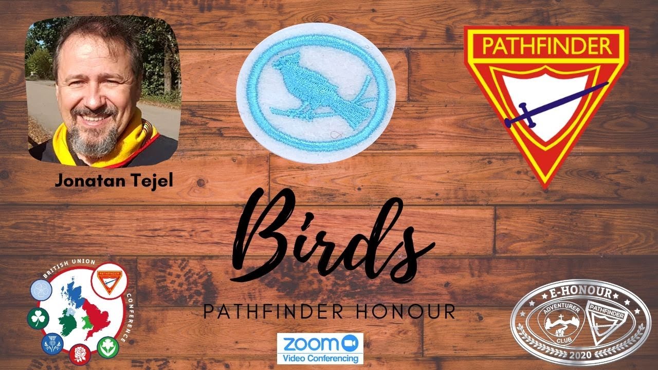 Birds Pathfinder Honour e Honour - YouTube