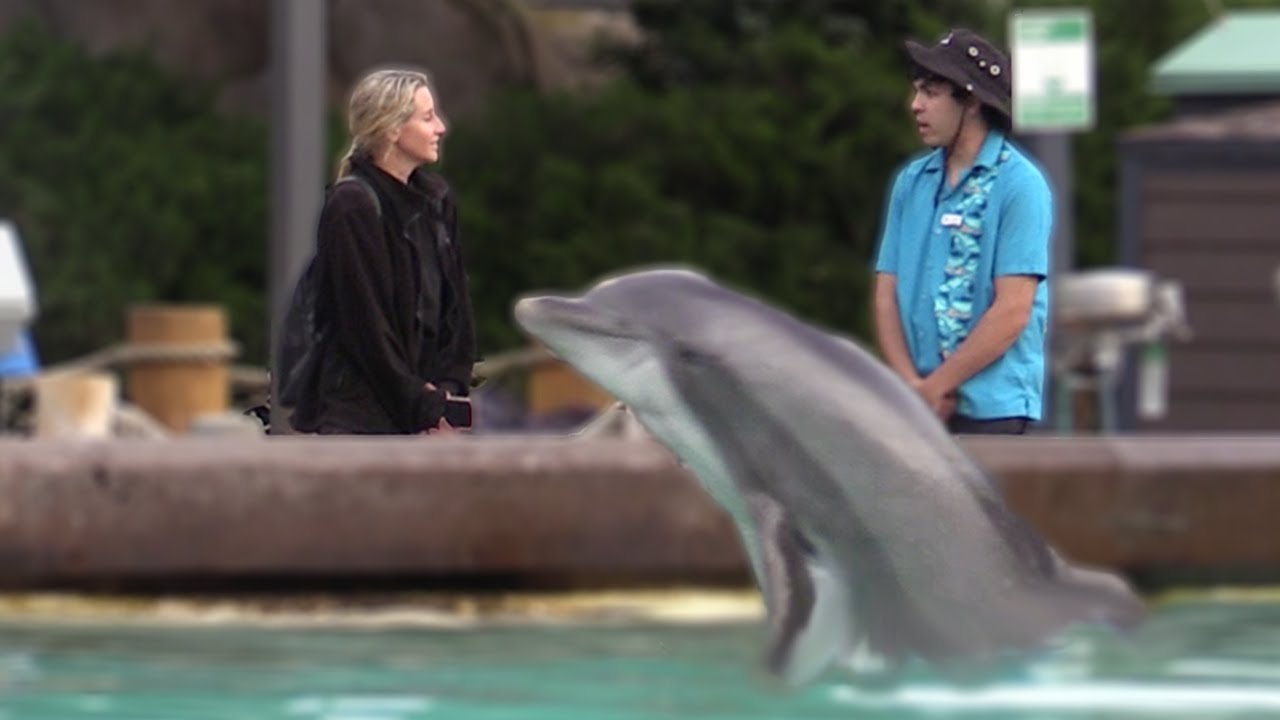 Fake Sea World Employee Prank! - YouTube