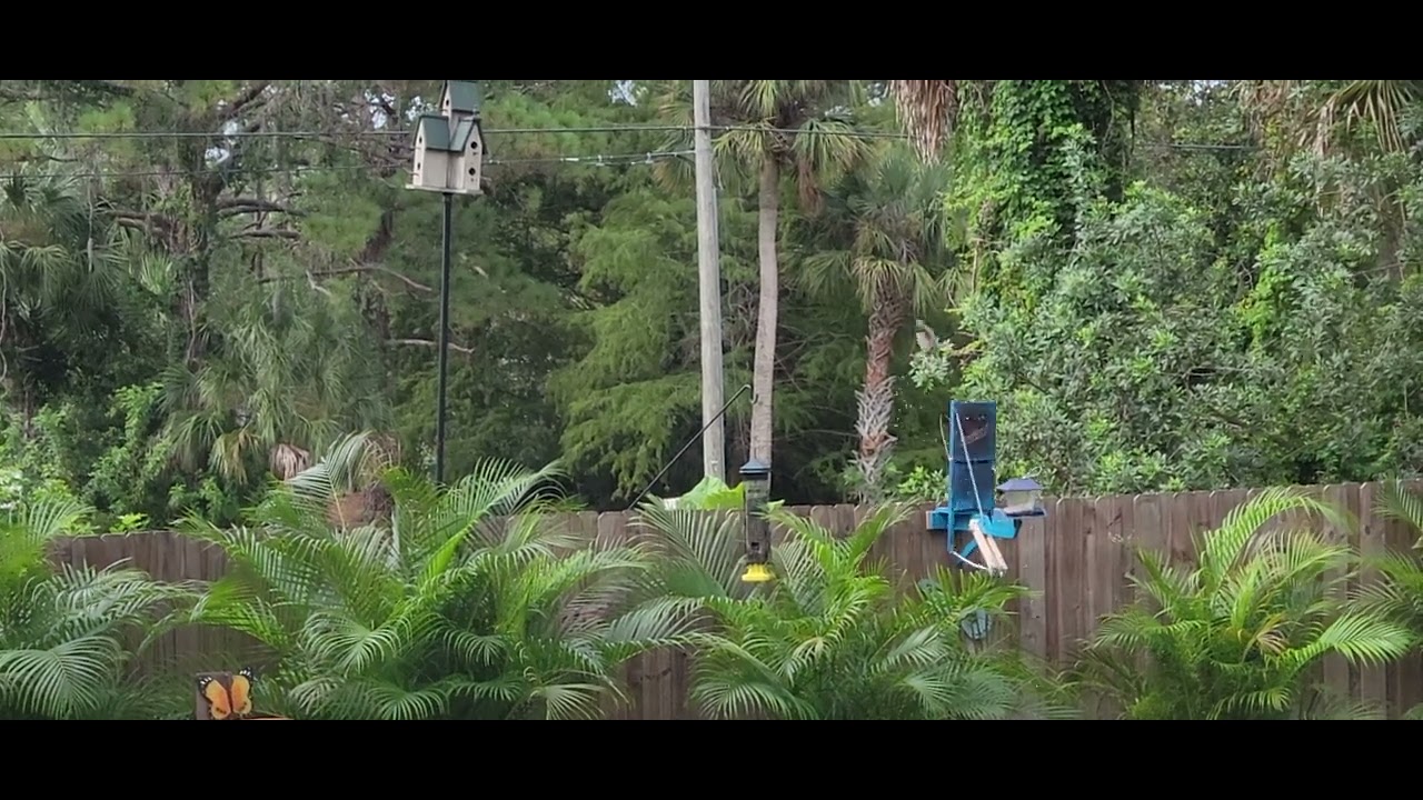 Rodent Rocket 8.0 - YouTube