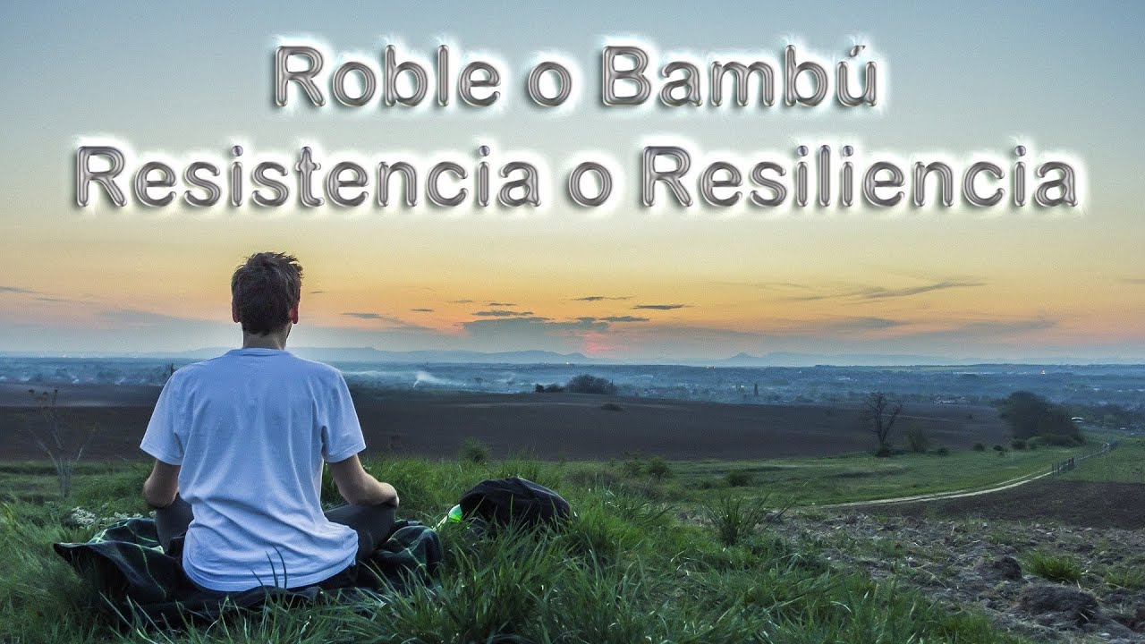 Roble o Bambú Resistencia o Resiliencia – Más Sabiduría - YouTube