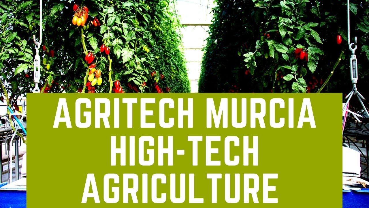 Agritech Murcia corporate video: leading companies in agricultural ...