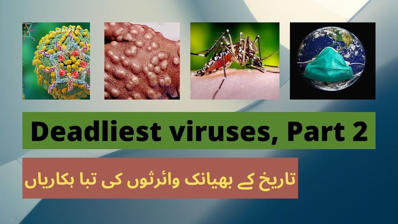 Deadly viruses, part 2 | humans have been fighting since long vs this ...