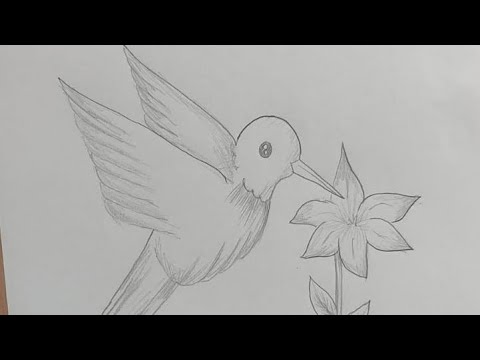 bird on a pretty Flower - step by step - || Easy Drawing ...