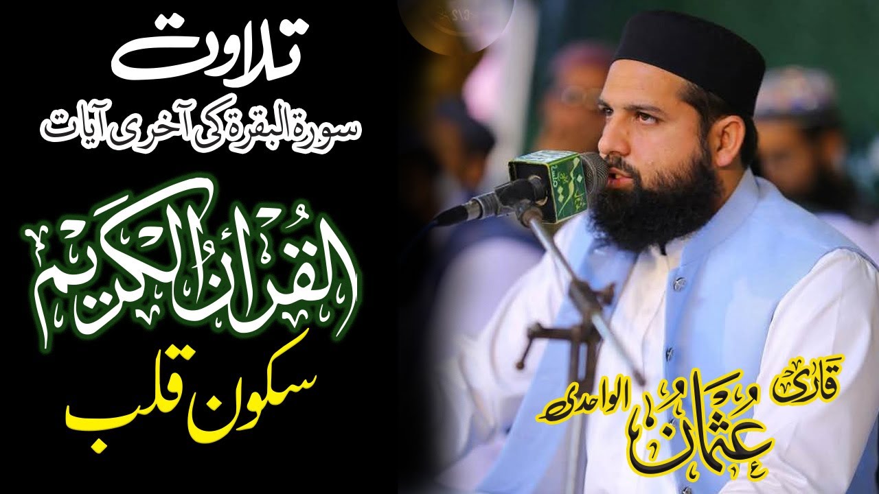 Surah Al-Bakra | Quran Tilawat in Beautiful Voice | Last Ayat of Sura ...