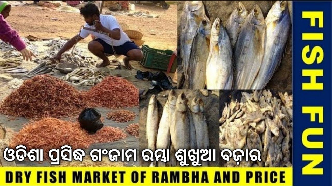 Visit to Rambha dry fish market of Ganjam Odisha | FISH FUN - YouTube