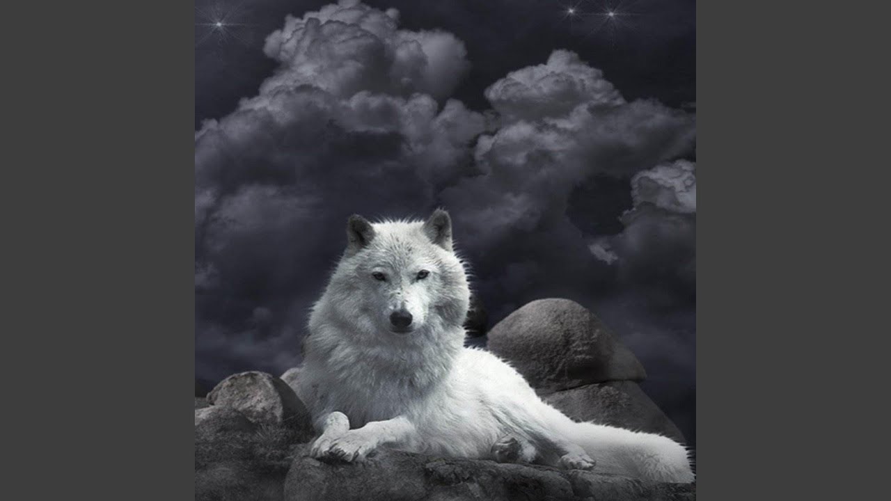 Wolf - YouTube