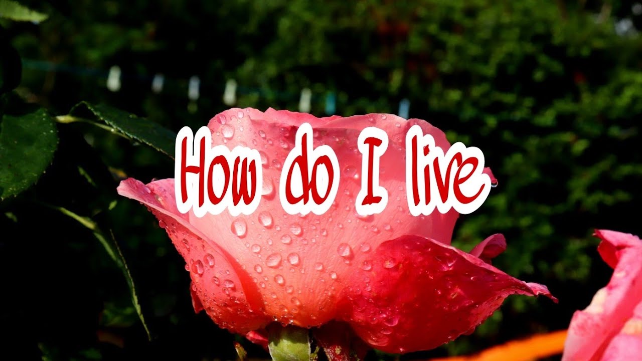 How do I live - YouTube