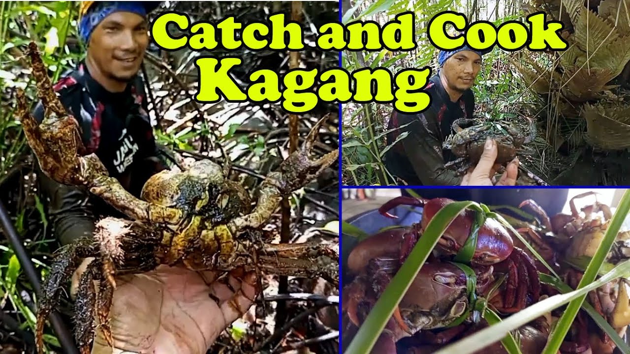 Catch and cook kagang (Land Crab) with Master Romy - YouTube