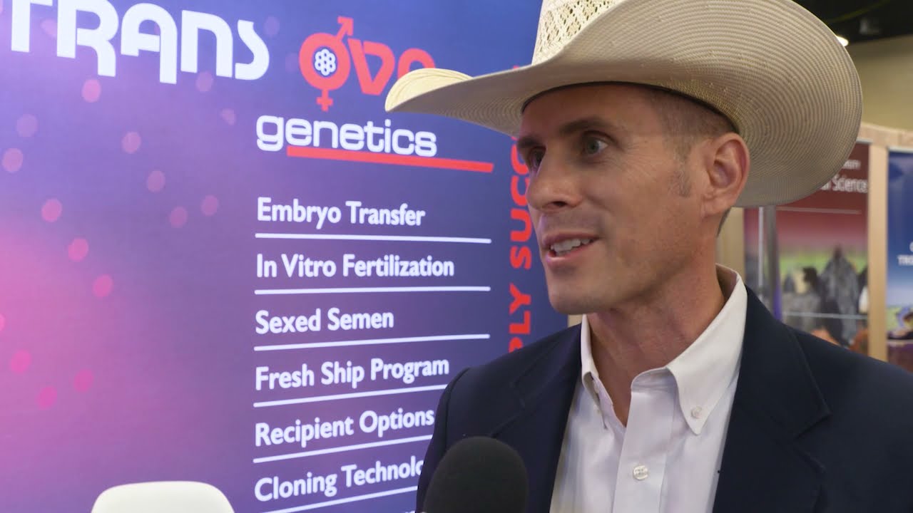 Trans Ova Genetics: Leaders in Reproductive Technologies - YouTube