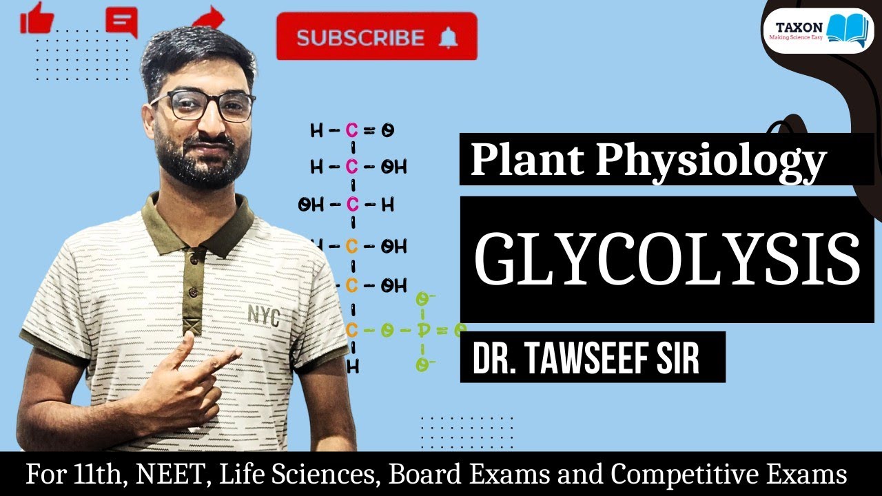 Glycolysis | Plant Biochemistry | NEET | CSIR-NET | B.Sc | Dr. Tawseef ...
