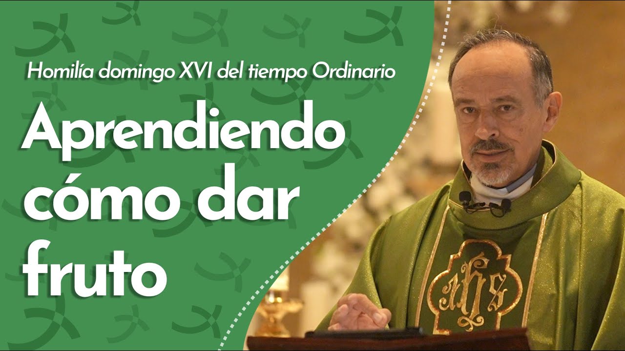 Aprendiendo cómo dar fruto - YouTube