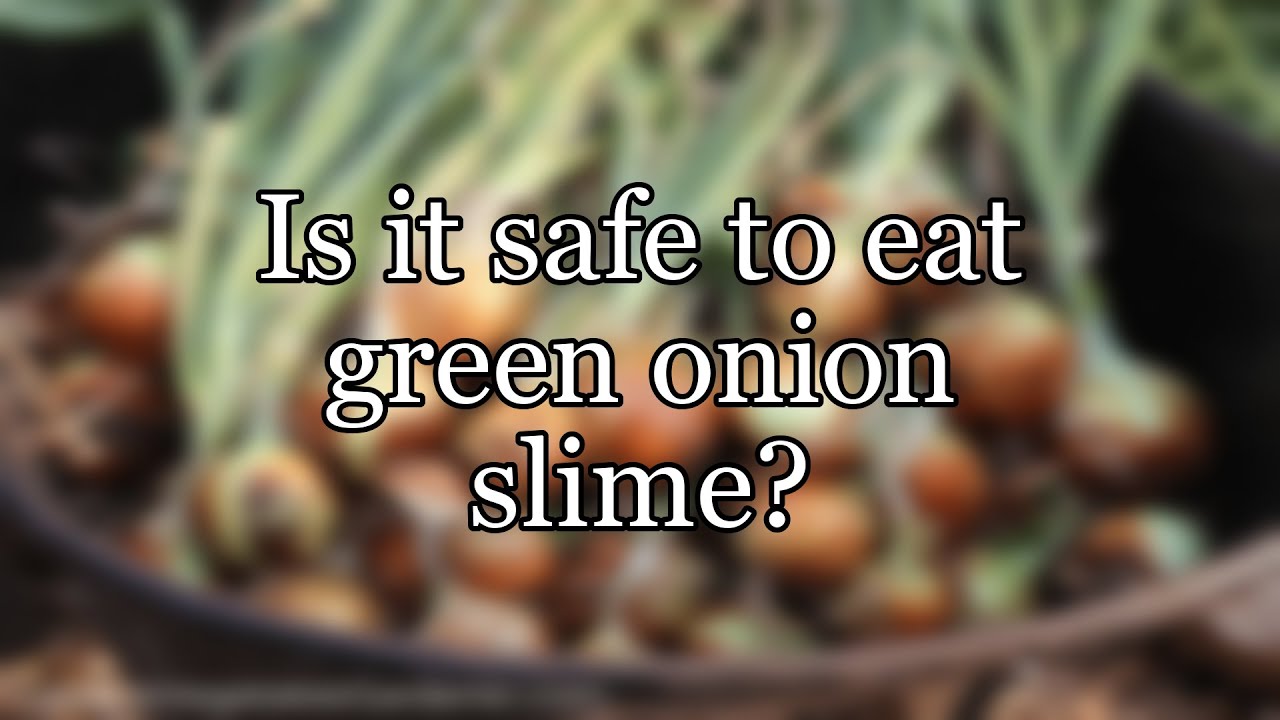 Is it safe to eat green onion slime? - YouTube