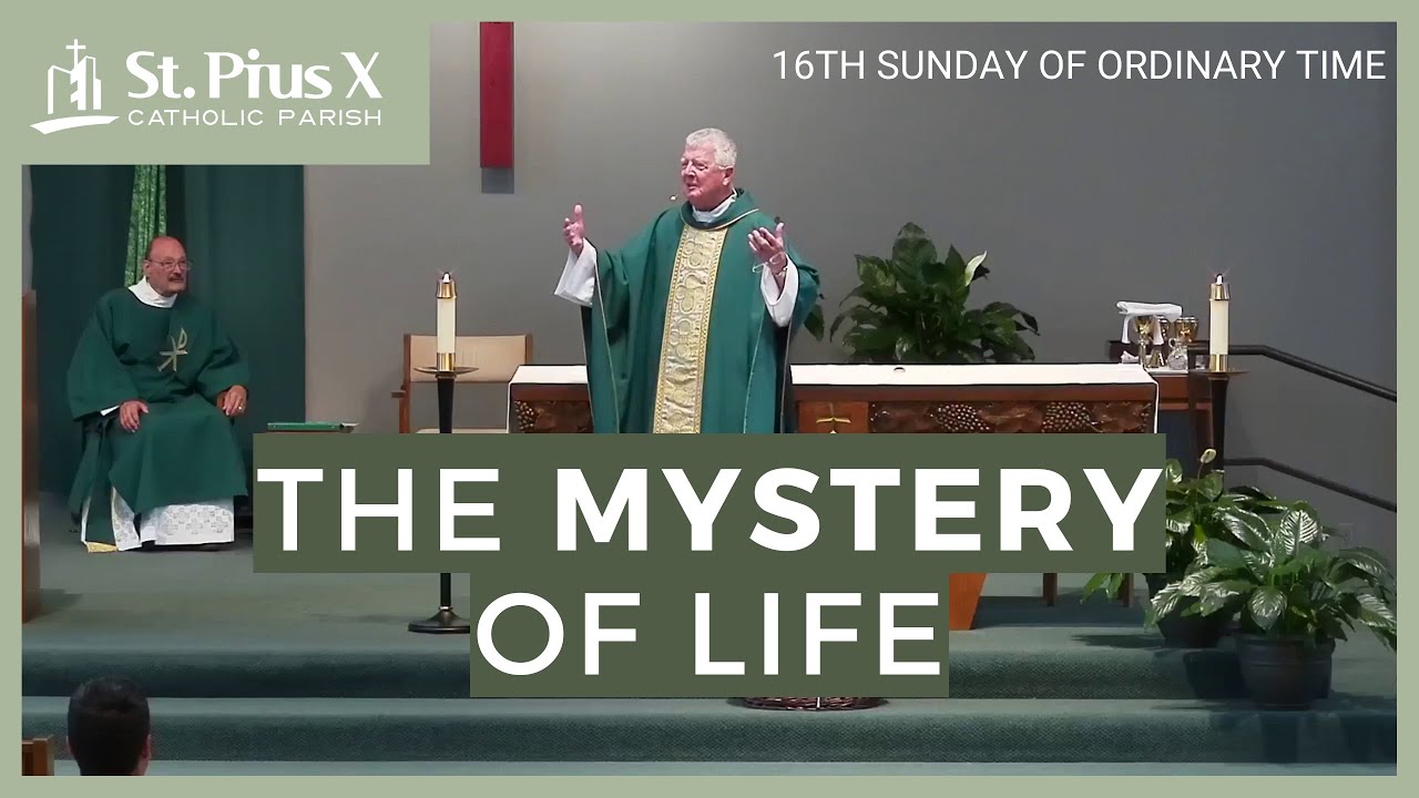 We Can't Know Everything | 16th Sunday in Ordinary Time ~ Catholic ...