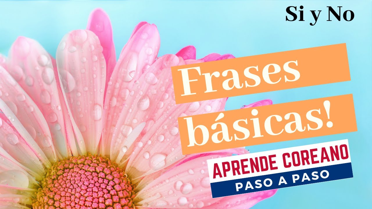 SÍ Y NO en coreano (Leer la descripción) #coreanofacil #idiomacoreano # ...