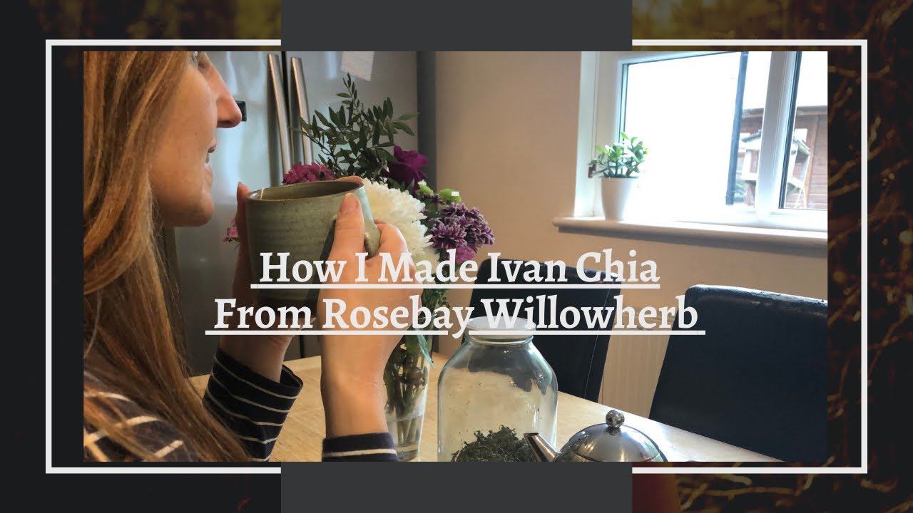 How I Made Ivan Chia From Rosebay Willowherb | Ivan Chia Tea | Foraged ...