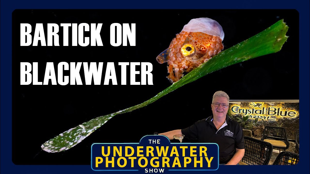 Mike Bartick Shares His Advice For Blackwater Photography - YouTube