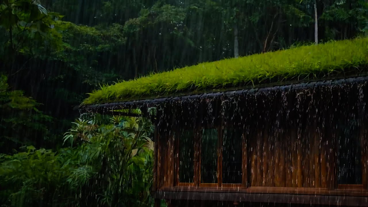 Rain Sounds for Sleep 30 Minutes - Relaxing Rainfall for Insomnia ...