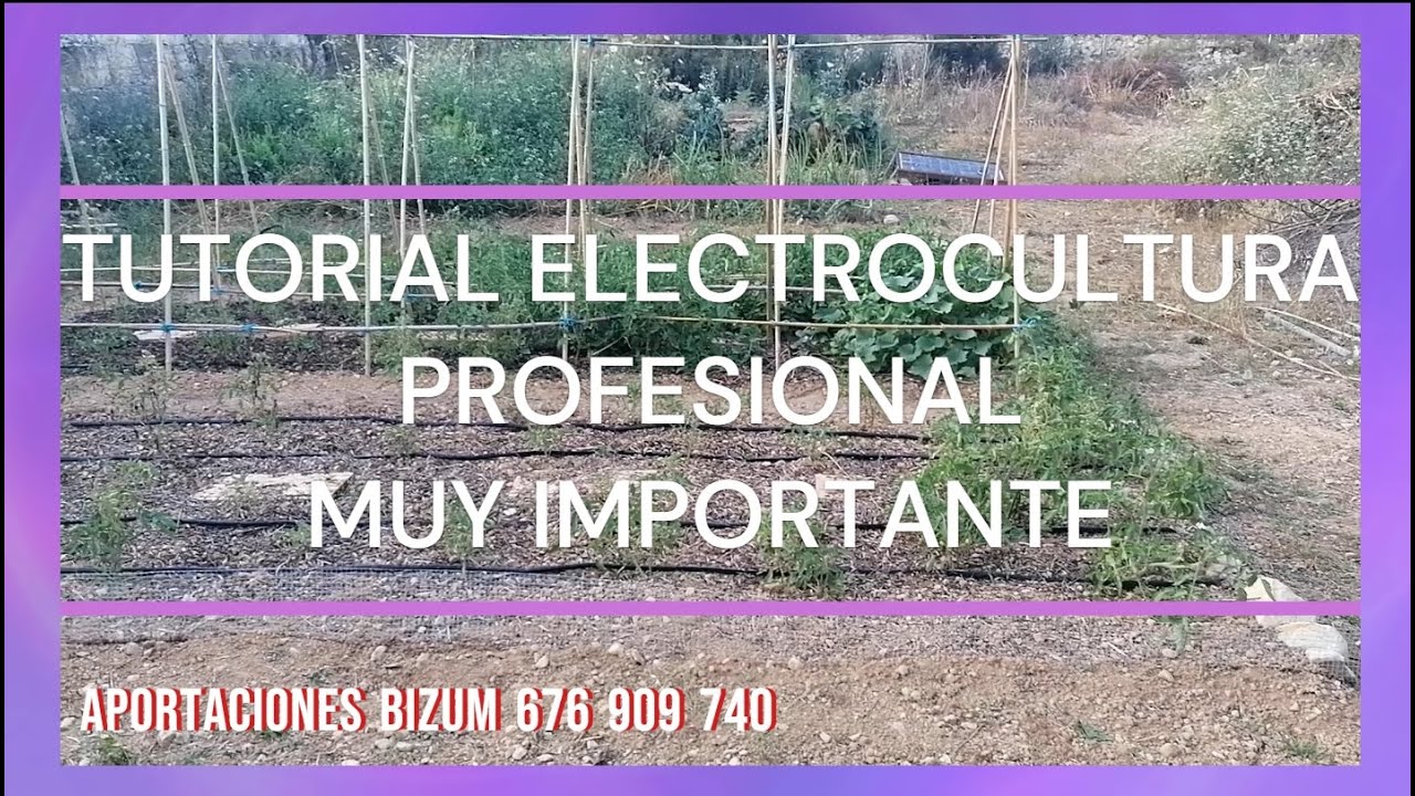 TUTORIAL ELECTROCULTURA PROFESIONAL ¡MUY IMPORTANTE! - YouTube