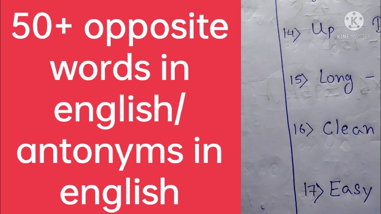 50 Opposite Words In English Antonyms In English YouTube 50-opposite-words-in-english-antonyms-in-english-youtube