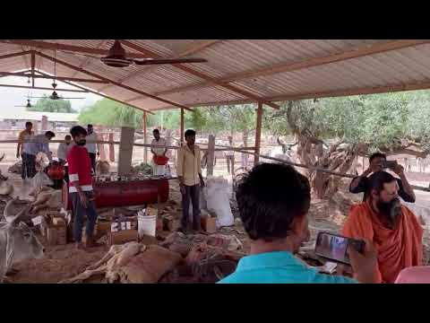 manyri ji sukhram ji Bishnoi go sala pathmeda sanchore jalore rajasthan - YouTube