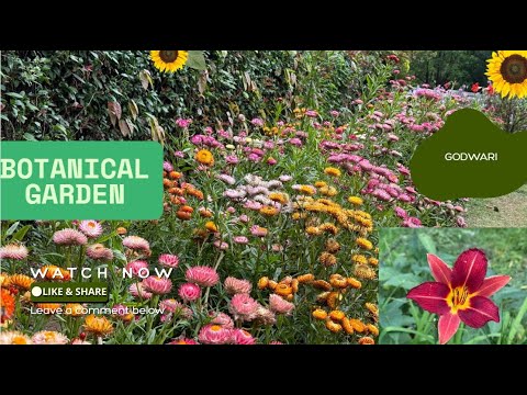 Travel to Godawari Botanical Garden | Peaceful Nature Walk in Nepal ...