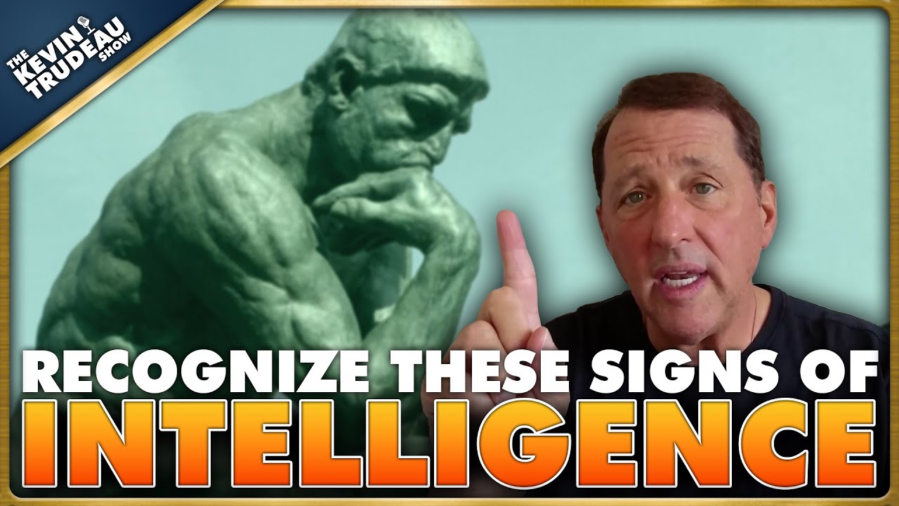 How To Recognize Signs of Intelligence | TKTS Clips - YouTube