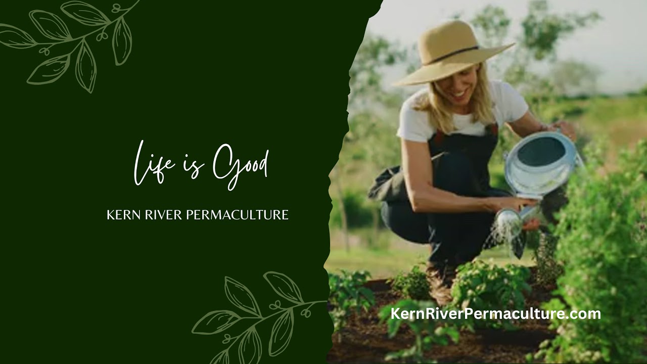 Kern River Permaculture Live Stream - YouTube