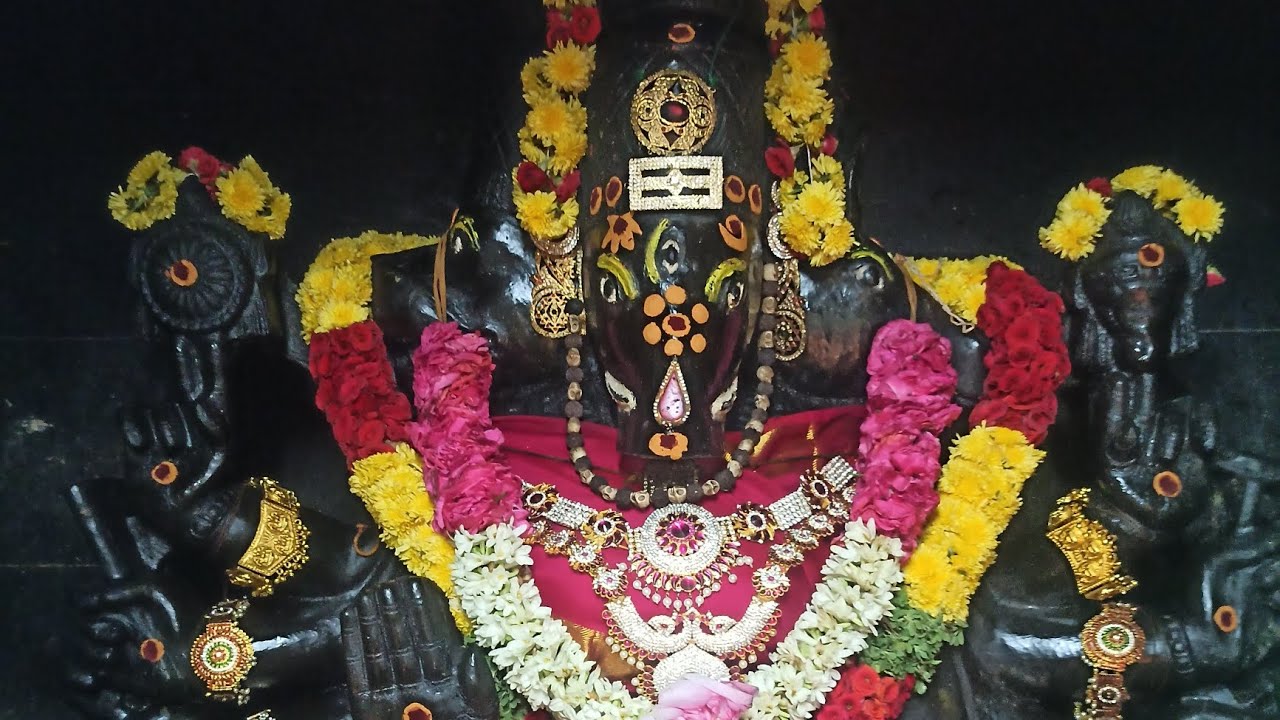 Rosemilk distribution on account of kathiri summer May 31 - YouTube