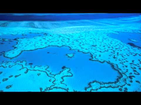 Djani-Ja stalno SMRCEM i CRTE vucem