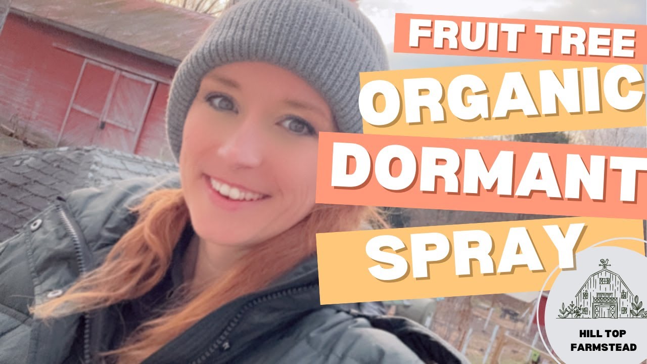 How to Use Dormant Spray on Fruit Trees - YouTube