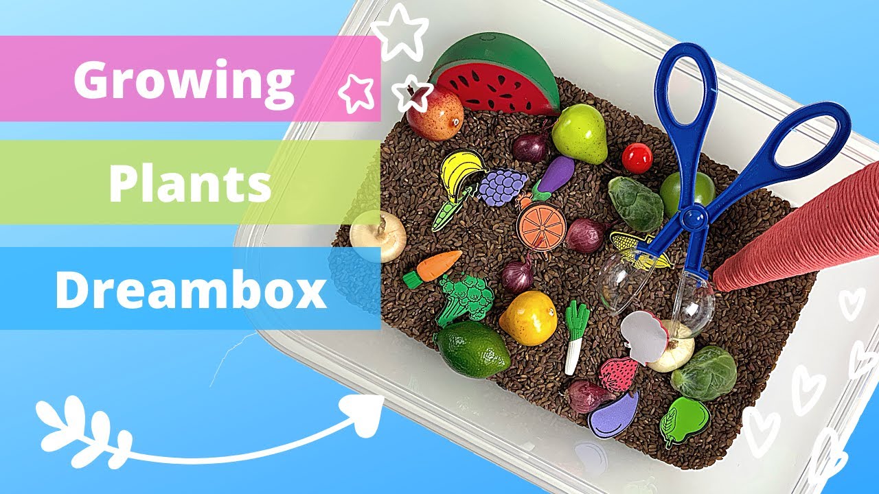 Growing Plants Unboxing | Preschool Sensory Bin - YouTube
