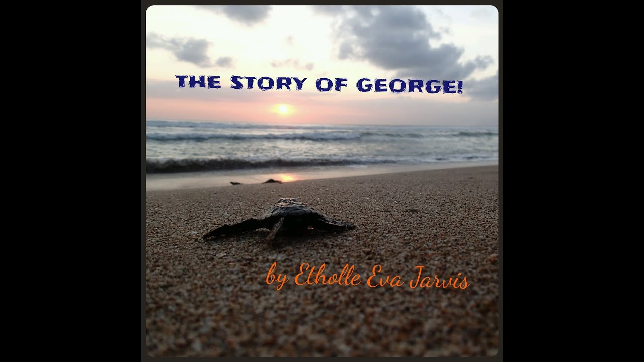 The Story of George the Turtle 720p - YouTube