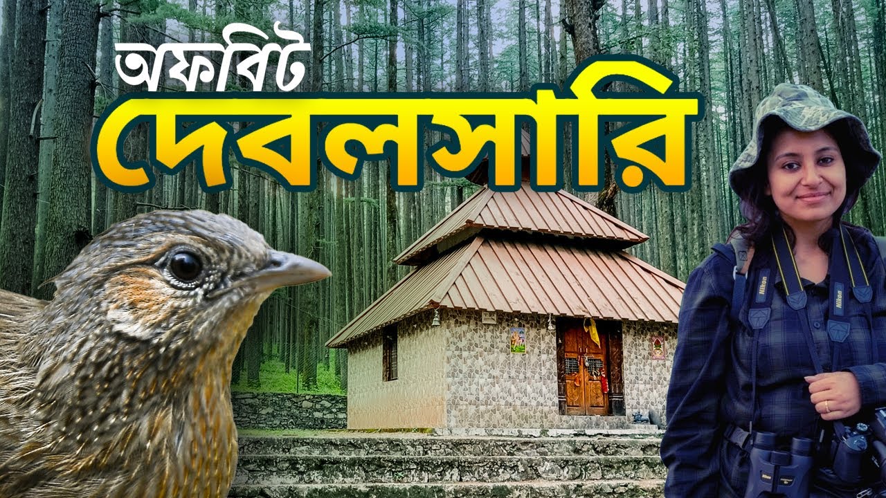 Birds and Butterflies of Devalsari | Butterflies of Tehri Garhwal ...